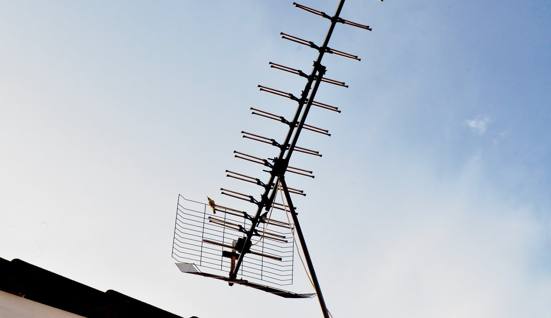 TV Antenna 101: Helpful Things You Should Know - Money For My Beer