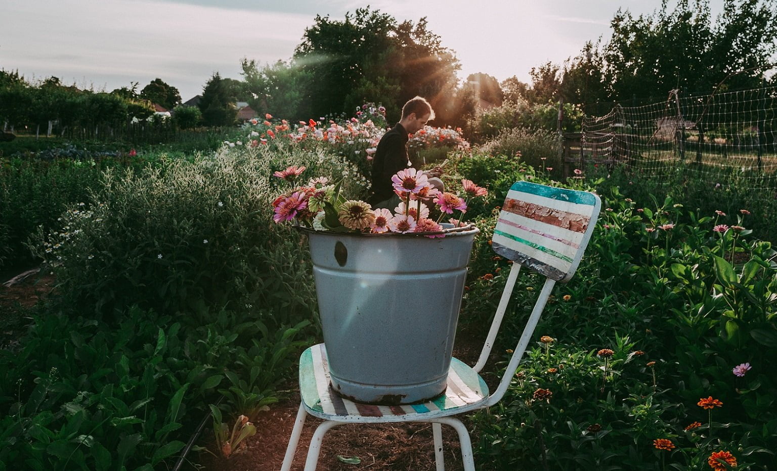 The Best Gardening Buckets For Every Garden Need - Money For My Beer