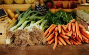 10 Most Common Crops In The Philippines: A Comprehensive Overview ...