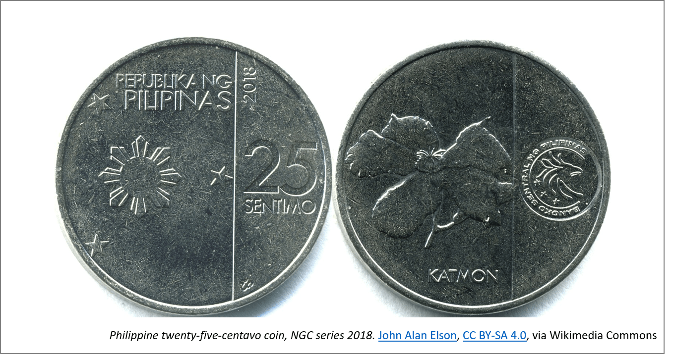 Katmon Tree, Fruit And Benefits: A Comprehensive Guide - Money For My Beer