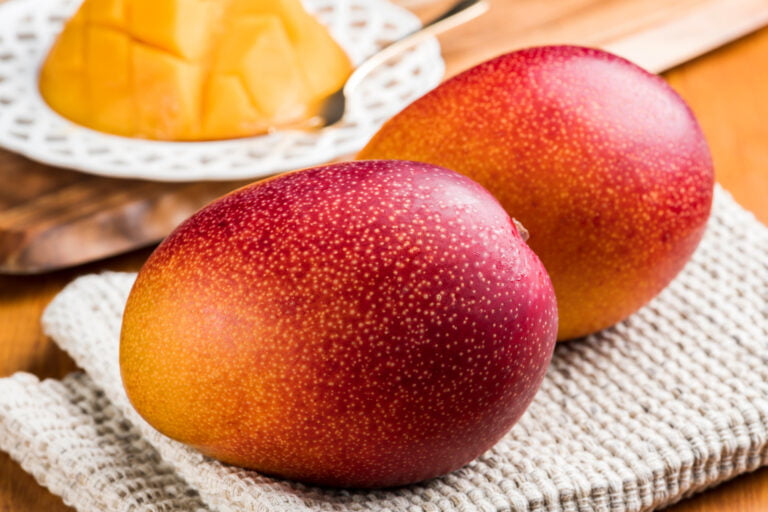 Apple Mango In The Philippines: Amazing Facts, Nutritional Benefits ...
