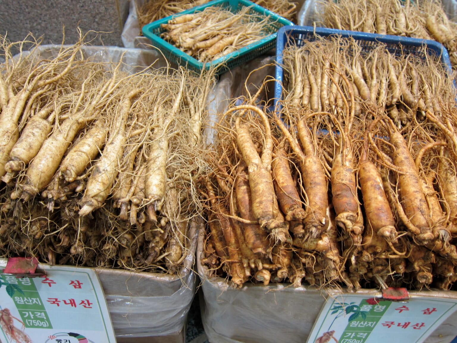 Benefits Of Ginseng (Panax Spp): History, Benefits, Uses, Facts And ...