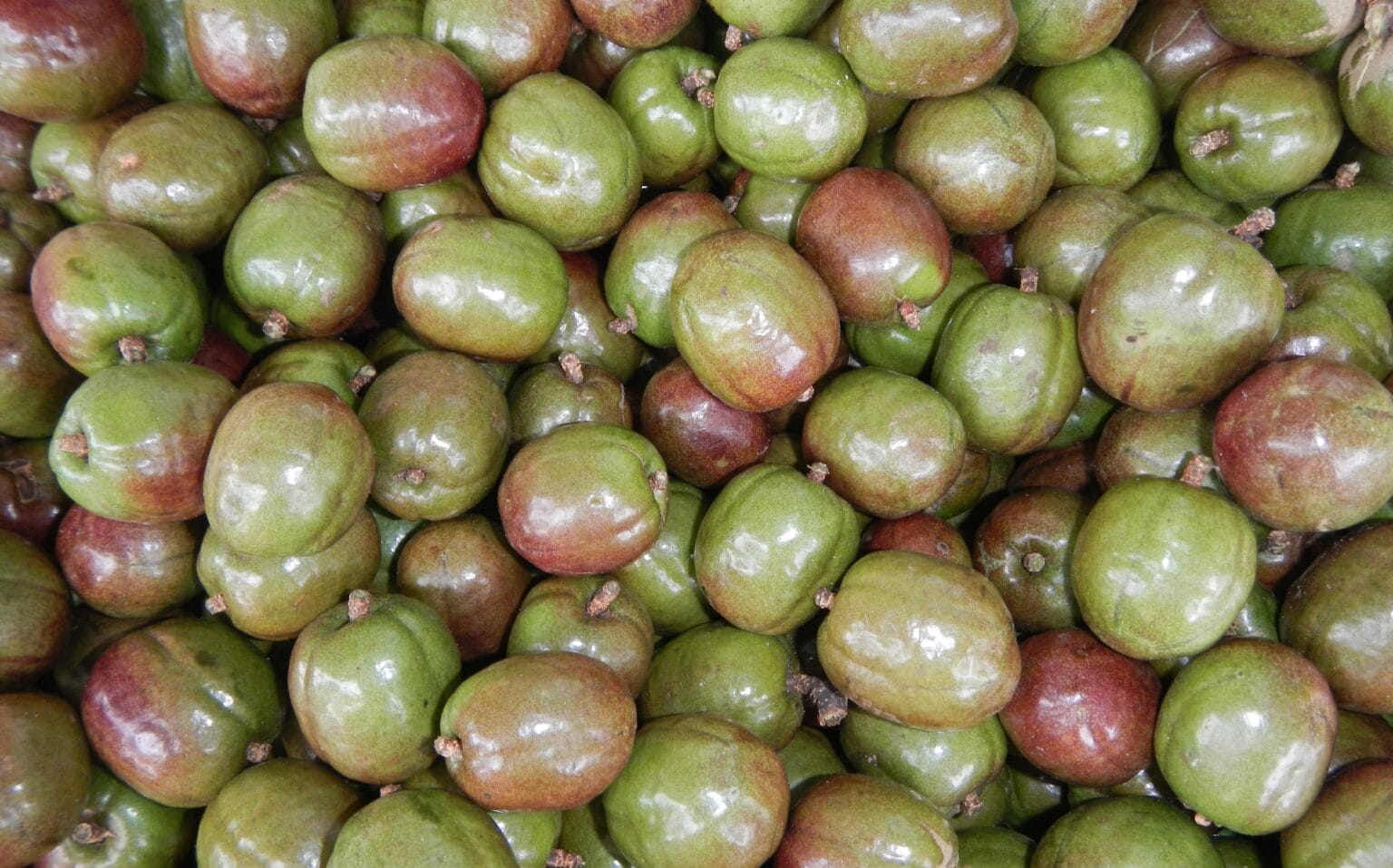 Benefits Of Sineguelas (Spondias Purpurea): Uses, History, Benefits ...