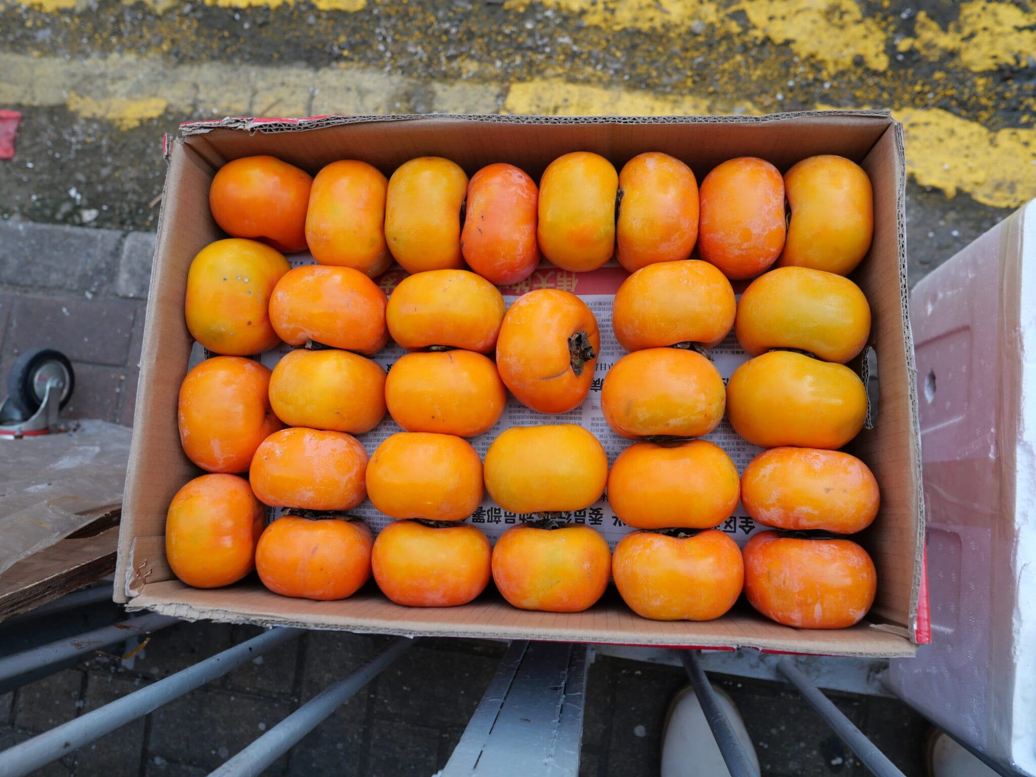 Benefits Of Persimmon (Diospyros Kaki): History, Benefits, Uses, Facts ...